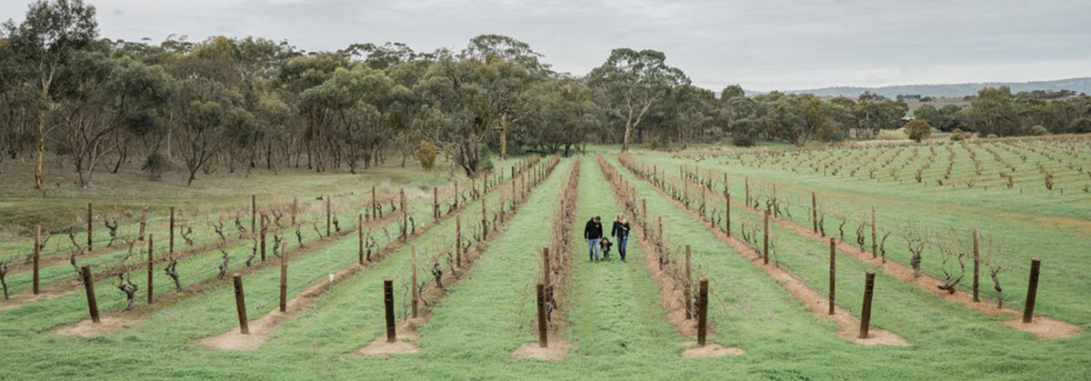 Shop online for premium Barossa Wine by Shanahans Wines